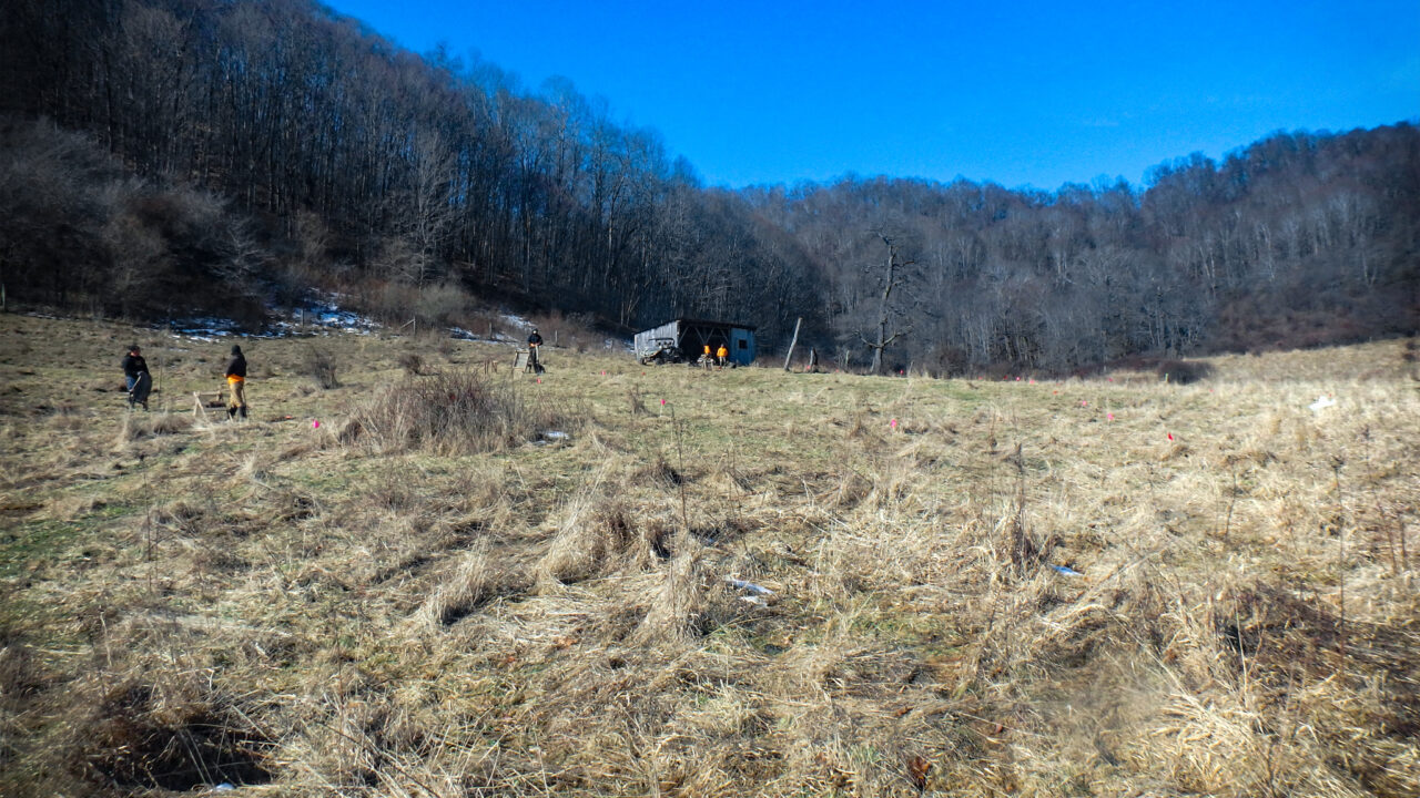 Mitigation & Restoration Archives - AllStar Ecology